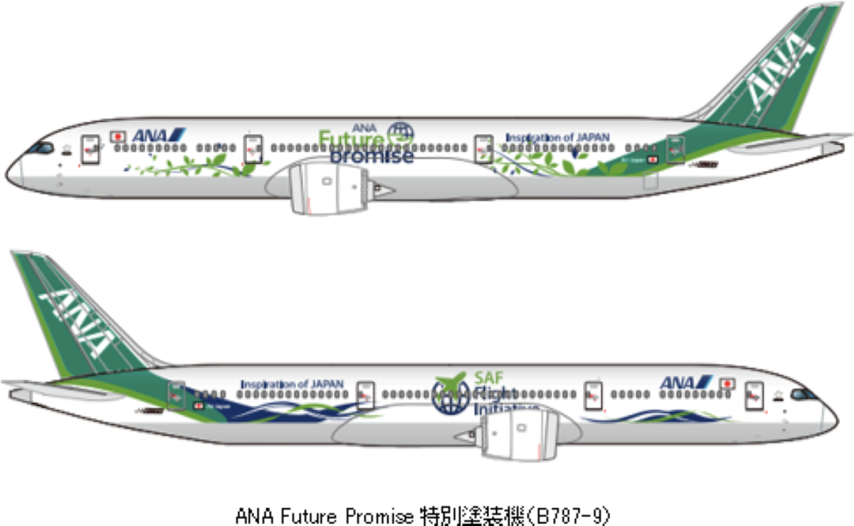 ANA、特別塗装機でサステナブルな活動を推進 秋よりANA Future Promise特別塗装機の運航を開始 | AMP[アンプ ...
