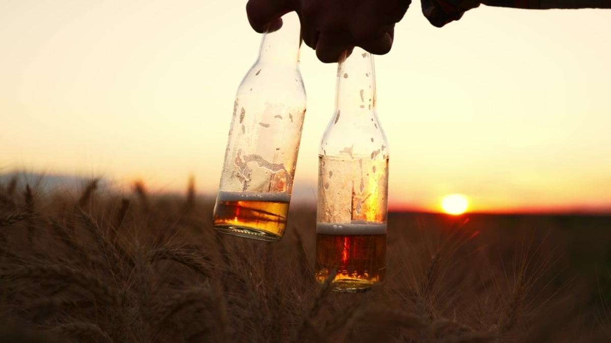 飲み終えたビール瓶が雨量計に。気候変動からコロンビア農家を支える「NATIVA METER」 | AMP[アンプ] - ビジネス ...